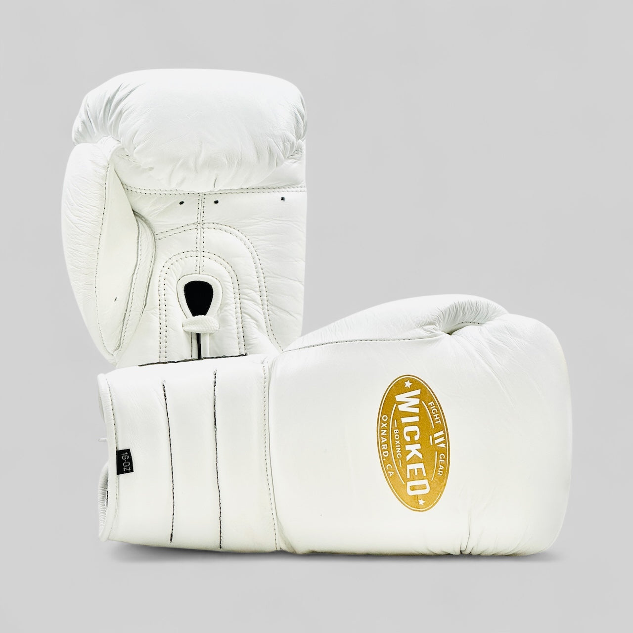 Premium Boxing Gloves - Comfort & Protection Guaranteed – Wicked Boxing