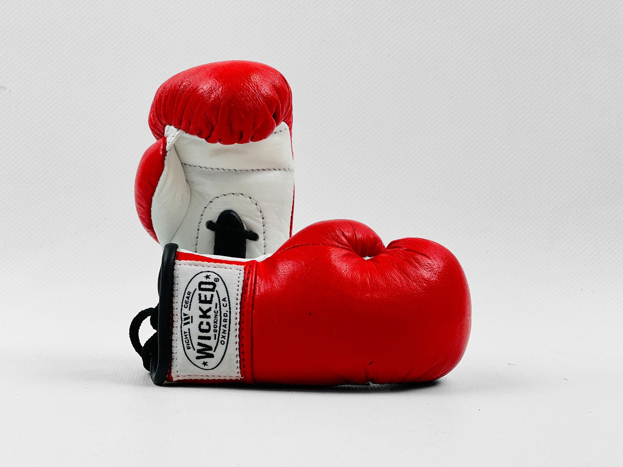 Mini Gloves – Wicked Boxing