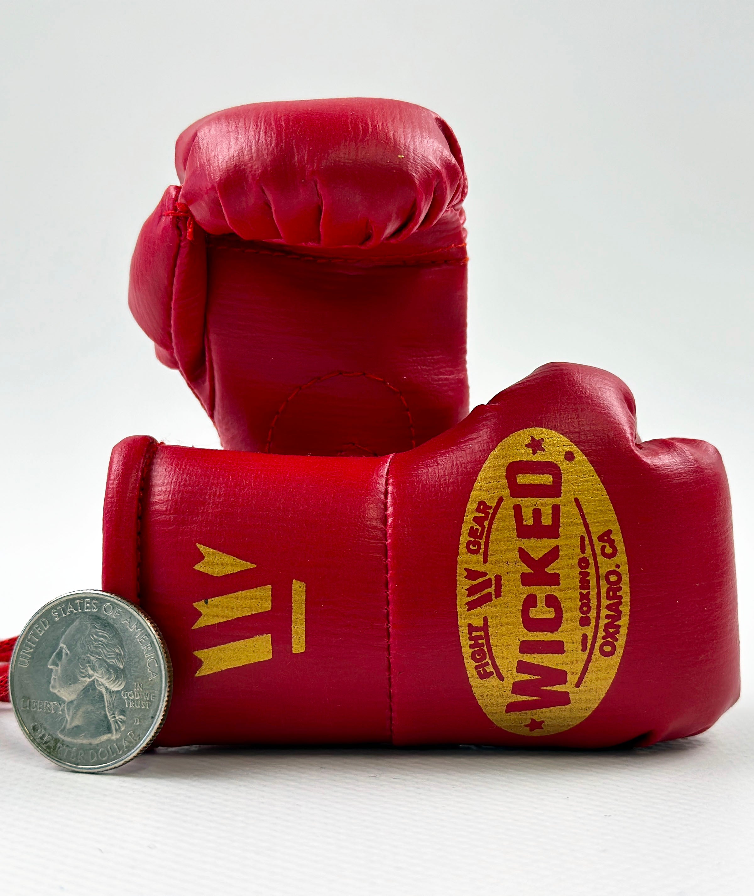 Mini Gloves – Compact Boxing Gear for Intense Training – Wicked Boxing